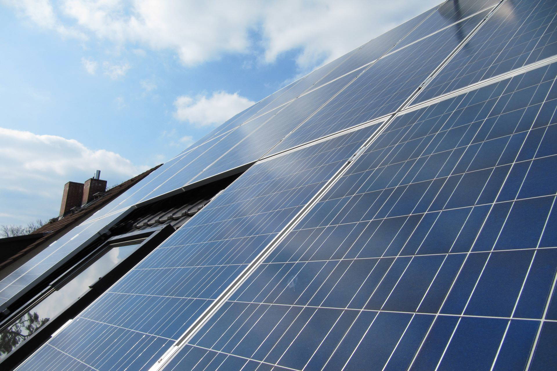 Solar Panel Proofing: DIY & Warranties - Liverpool Pest Controls